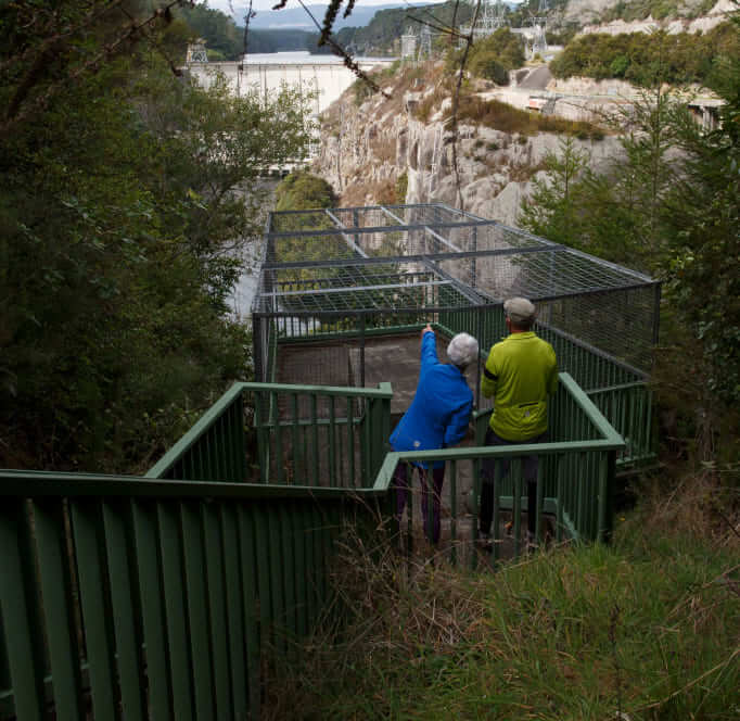 Waipapa - Waikato River Trails