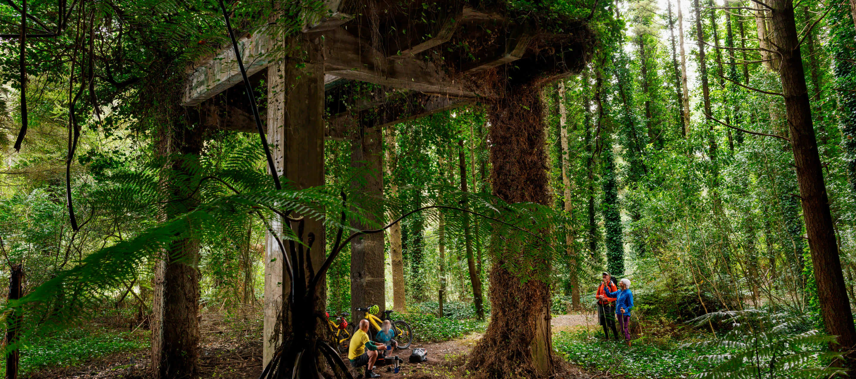 Waipapa - Waikato River Trails
