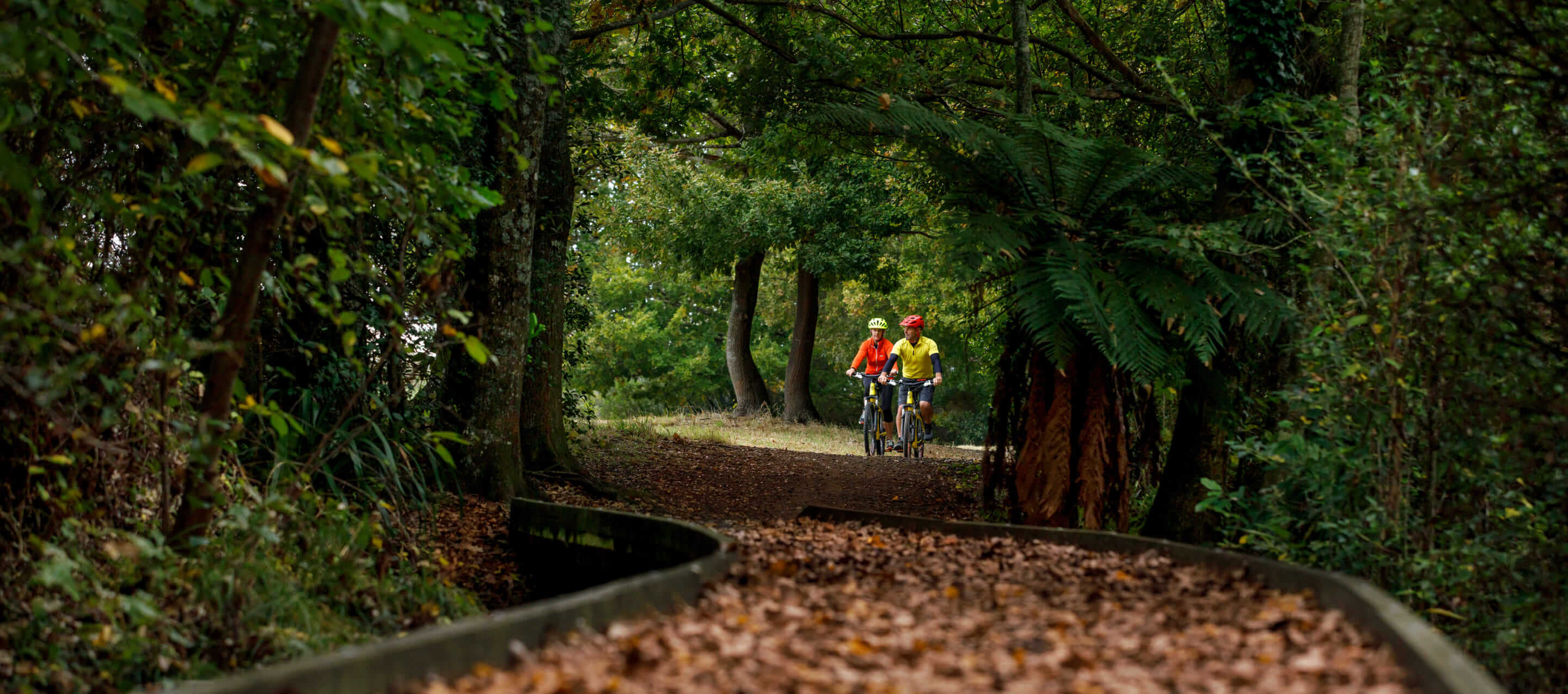 Maraetai - Waikato River Trails