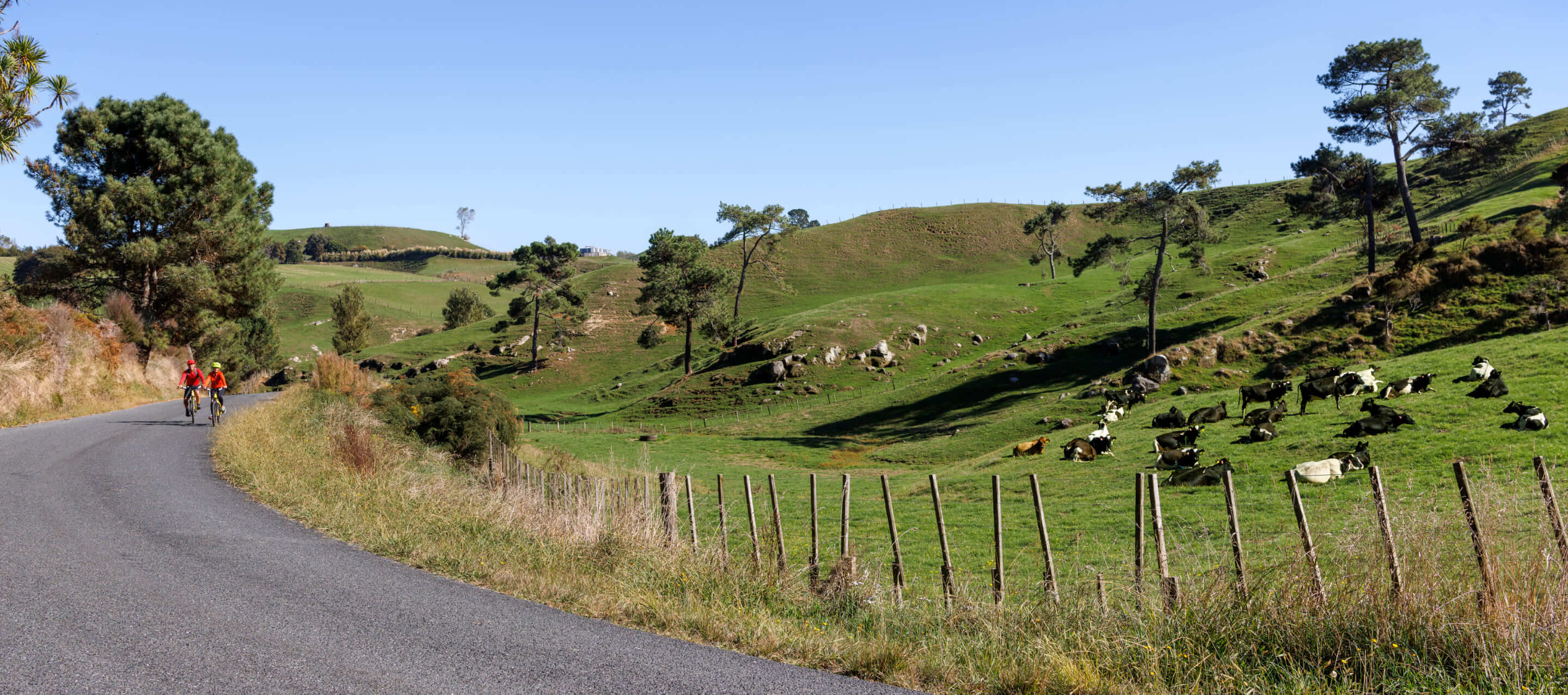 Arapuni - Waikato River Trails